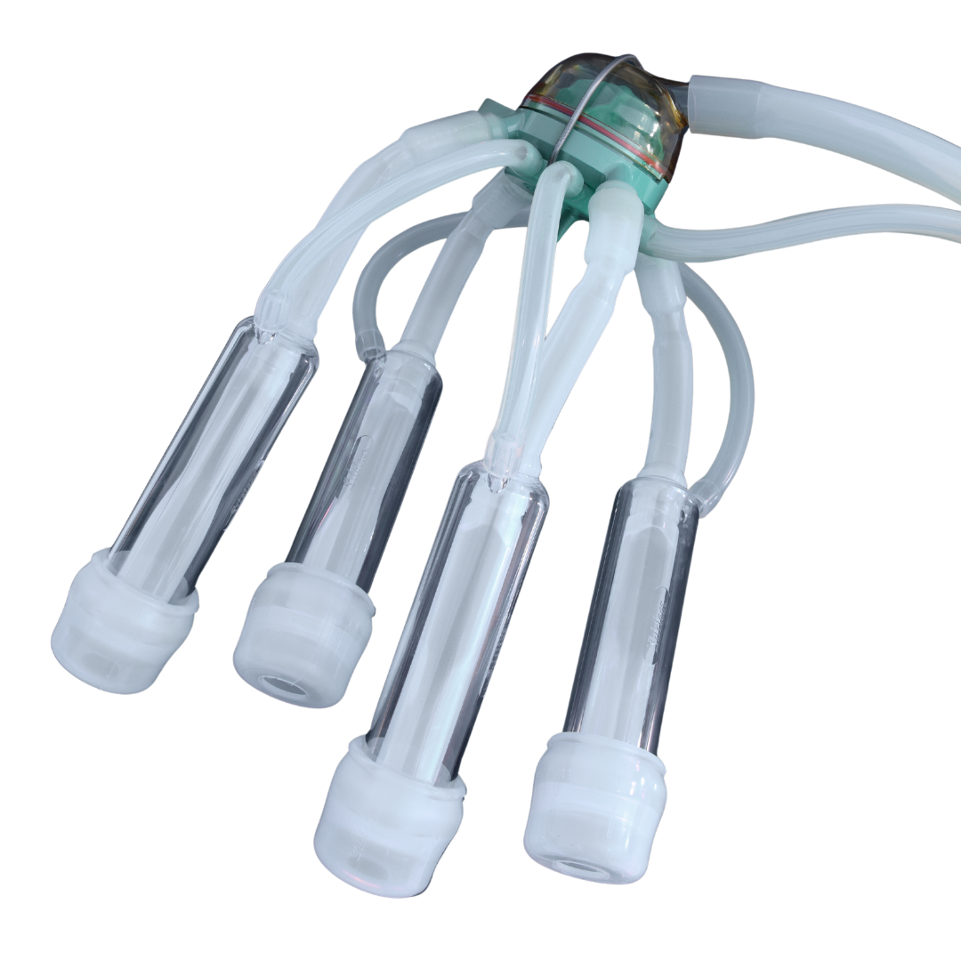 Dairy Tubing Solutions: Silicone for Milking Parlours | Silclear